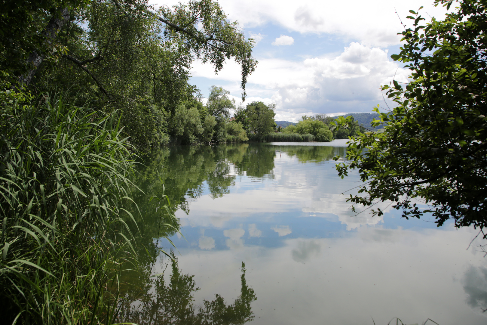 Am Moossee Foto & Bild | landschaft, lebensräume, projekte Bilder auf ...