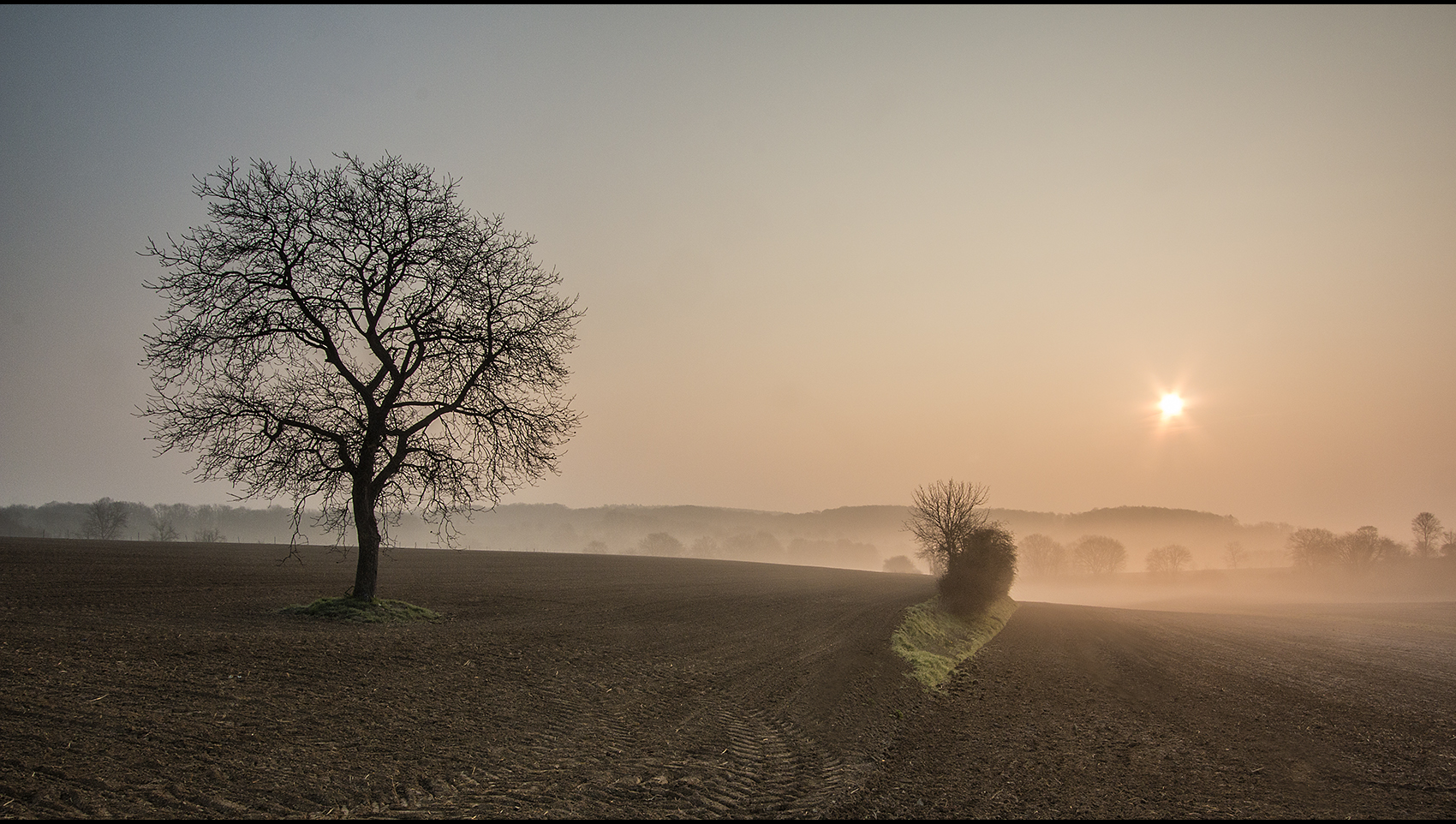 Am Morgen Foto & Bild | fotos, world, sonne Bilder auf fotocommunity