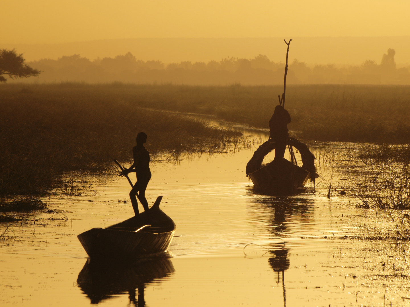 Am Niger Foto & Bild | africa, western africa, mali Bilder auf ...
