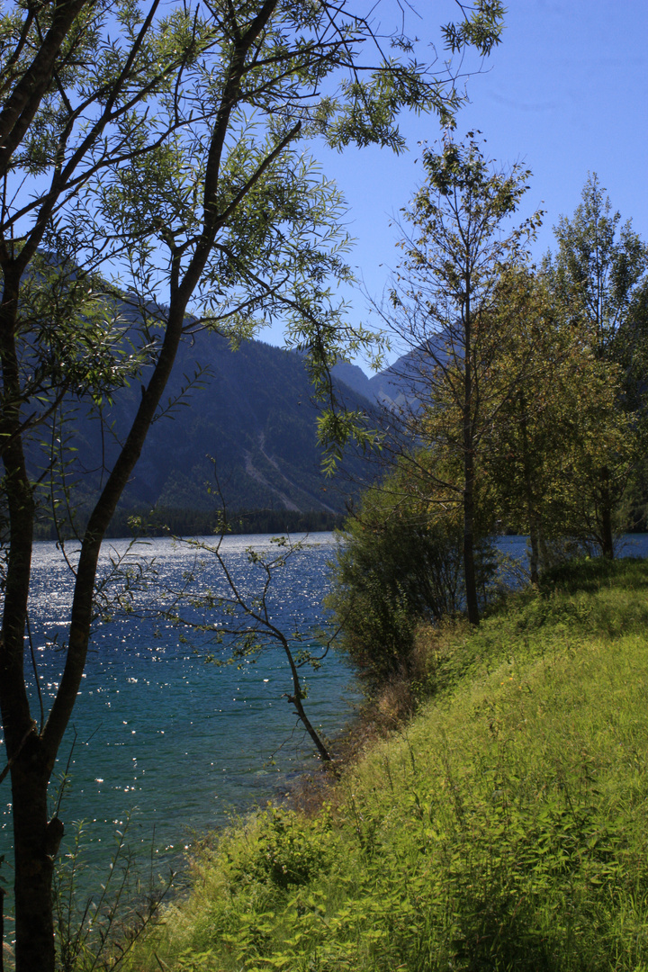 am plansee Foto & Bild | landschaft, natur Bilder auf fotocommunity