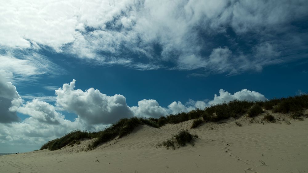 Am Rande der Dünen Foto & Bild | sylt, world, deutschland Bilder auf ...