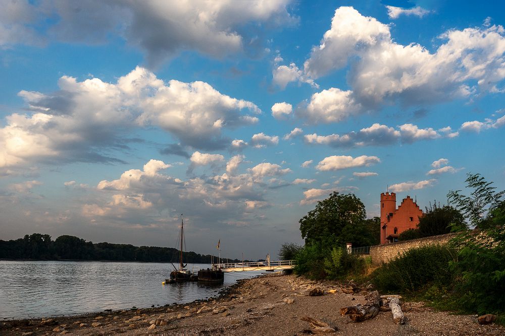 Am Rhein bei Eltville in den Morgenstunden - 4. August 2018 Foto & Bild ...