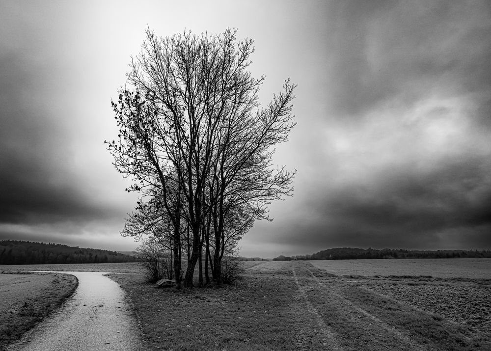 Am Scheideweg Foto And Bild Projekte Fotokunst Monochrome Fine Art Bilder Auf Fotocommunity