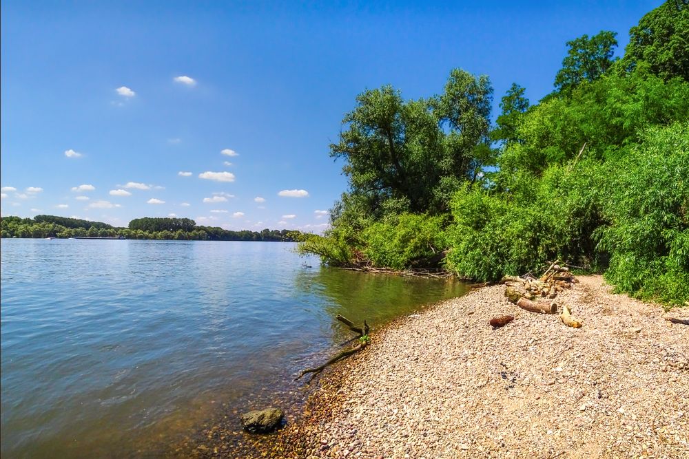 Am schönen Rheinstrand bei Walluf - 20. Juni 2018 Foto & Bild ...