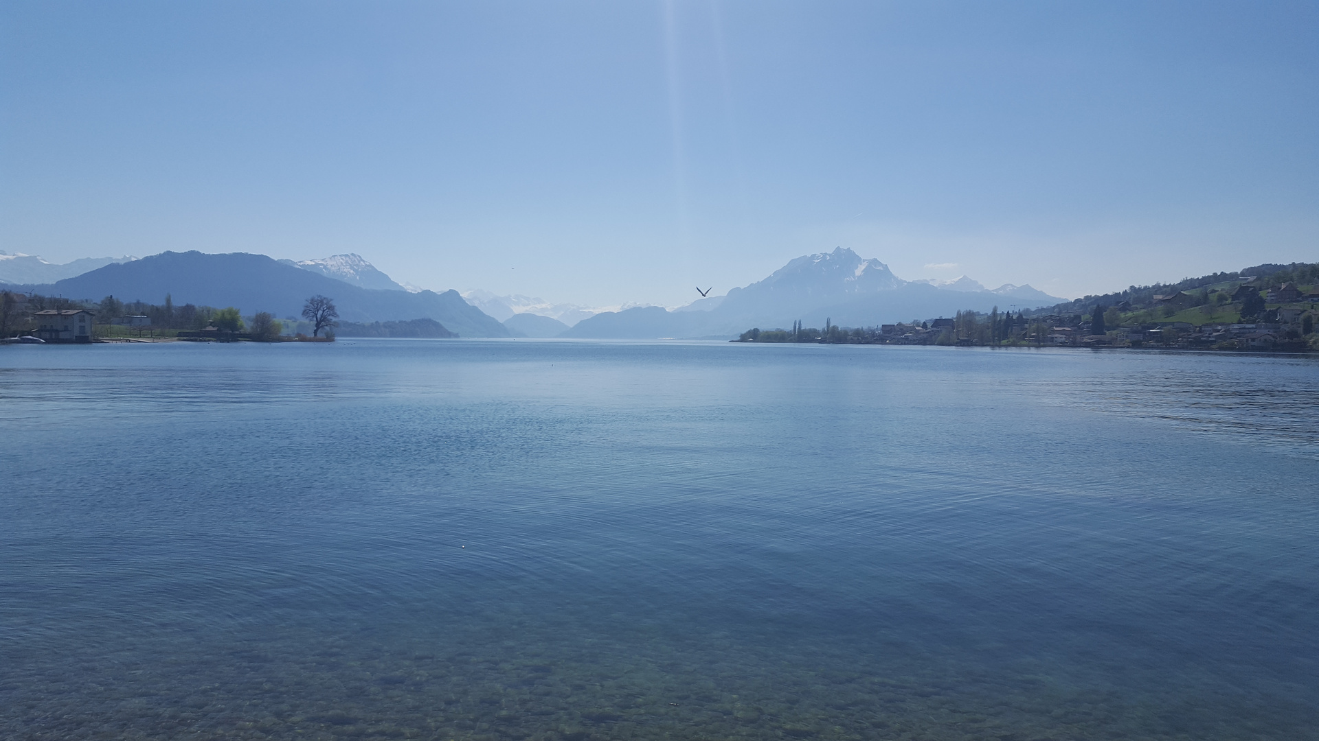 Am schönen See Foto & Bild | natur, landschaft, tiere Bilder auf ...