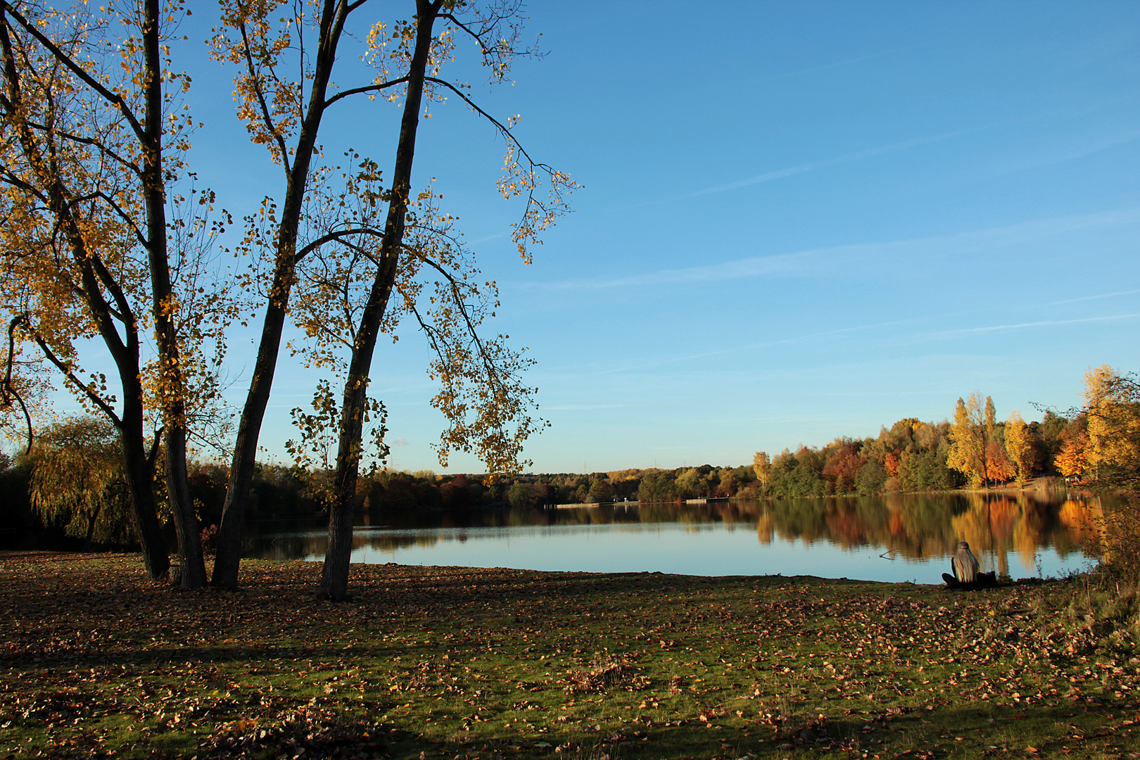 Am See Foto & Bild | deutschland, europe, nordrhein- westfalen Bilder ...