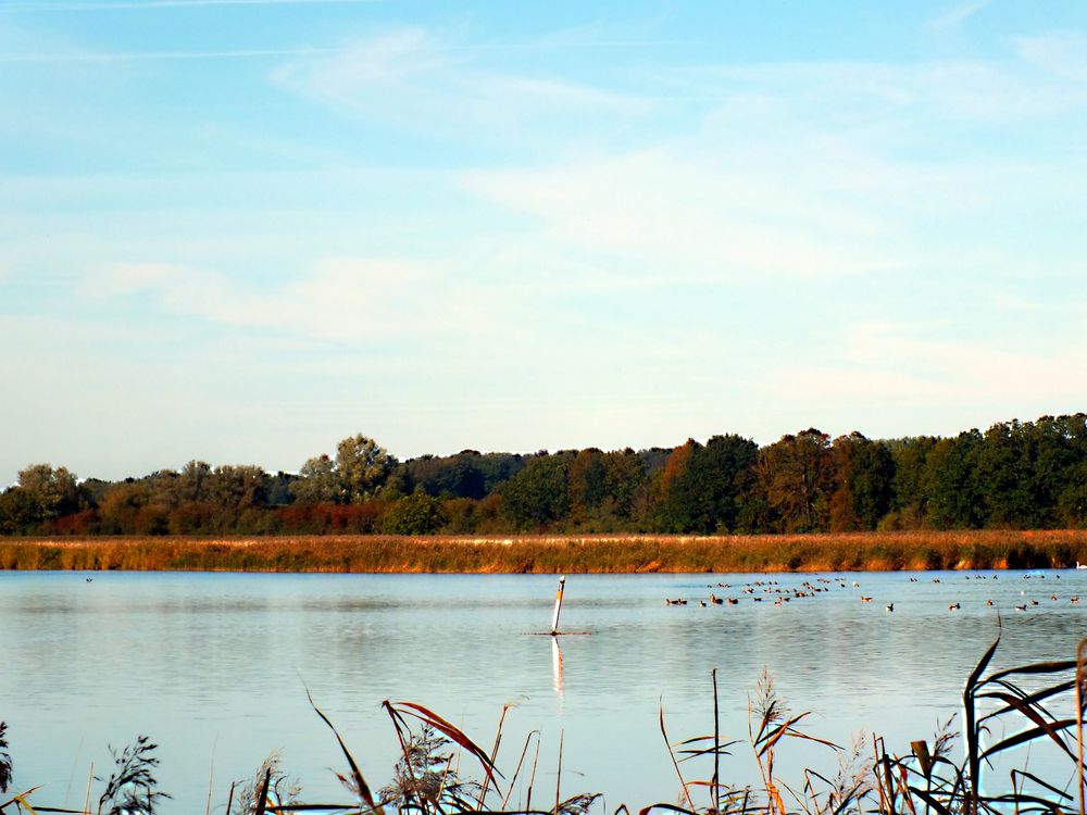Am See Foto & Bild | landschaft, bach, fluss & see, natur Bilder auf ...