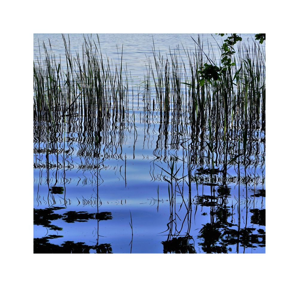 Am See Foto & Bild | landschaft, projekte, bach, fluss & see Bilder auf ...
