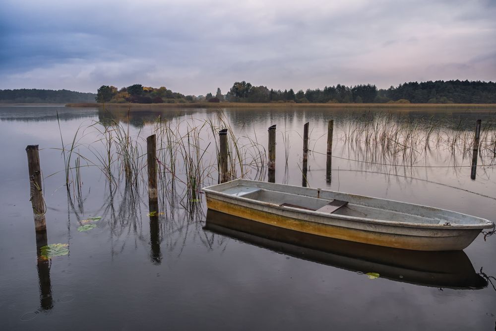 Am See Foto & Bild | natur, herbst, see Bilder auf fotocommunity