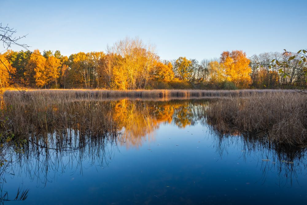 Am See Foto & Bild | landschaft, jahreszeiten, herbst Bilder auf fotocommunity