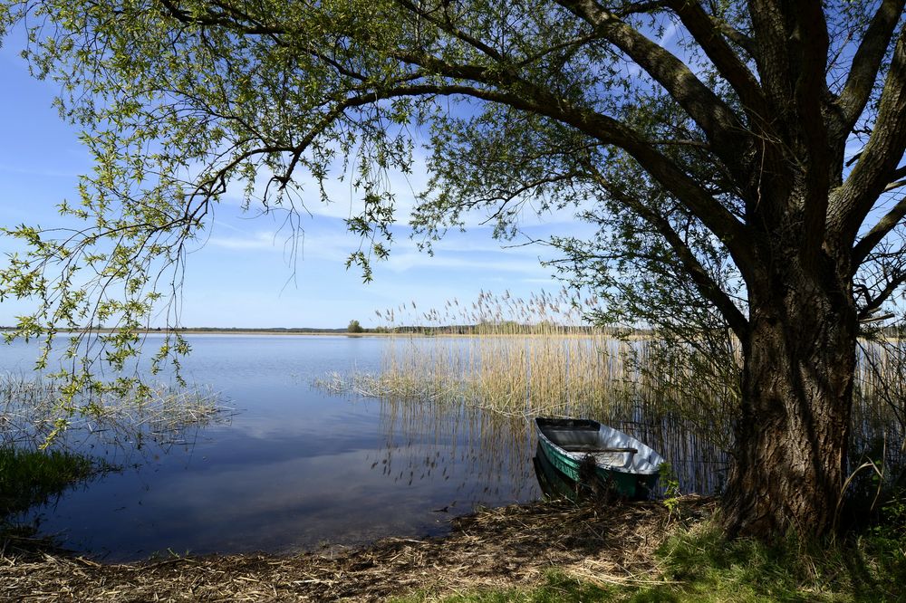 °Am See° Foto & Bild | wasser, frühling, himmel Bilder auf fotocommunity