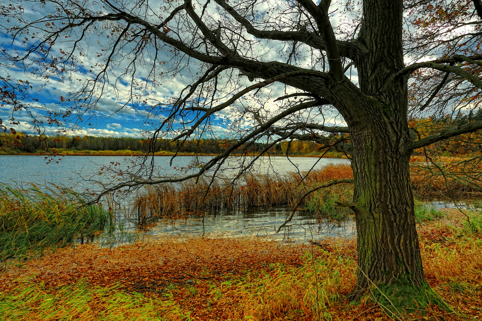 Am See Foto & Bild | landschaft, bach, fluss & see, see, teich & tümpel ...