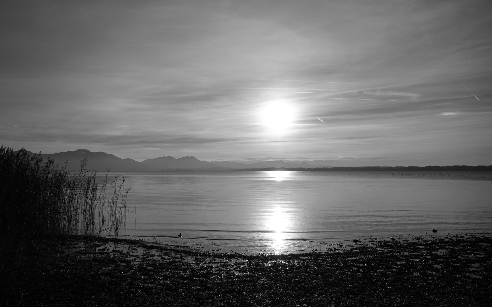 Am See Foto & Bild | landschaft, jahreszeiten, sommer Bilder auf ...