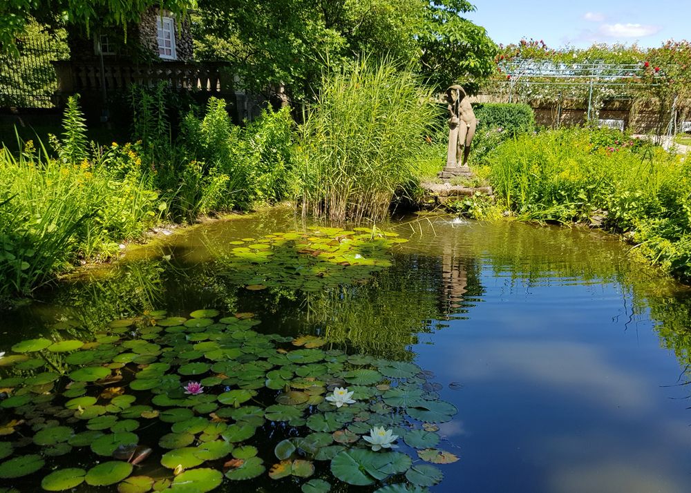 Am Seerosenteich Foto & Bild | deutschland, europe, baden- württemberg Bilder auf fotocommunity