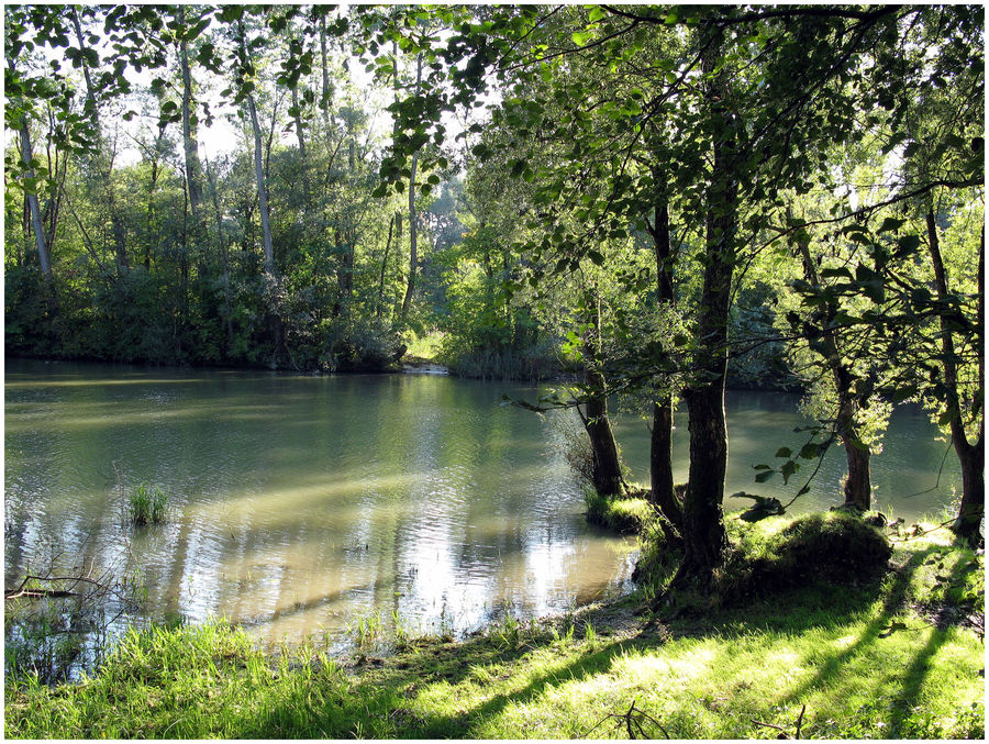 Am späteren Nachmittag am alten Rhein Foto & Bild | landschaft, bach ...