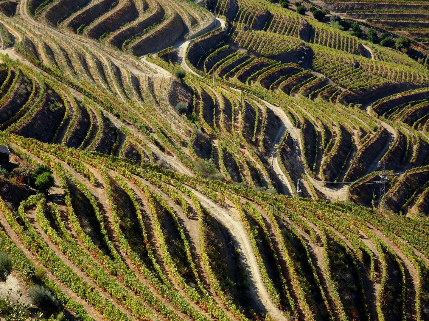 am Stadtrand Foto & Bild | natur Bilder auf fotocommunity