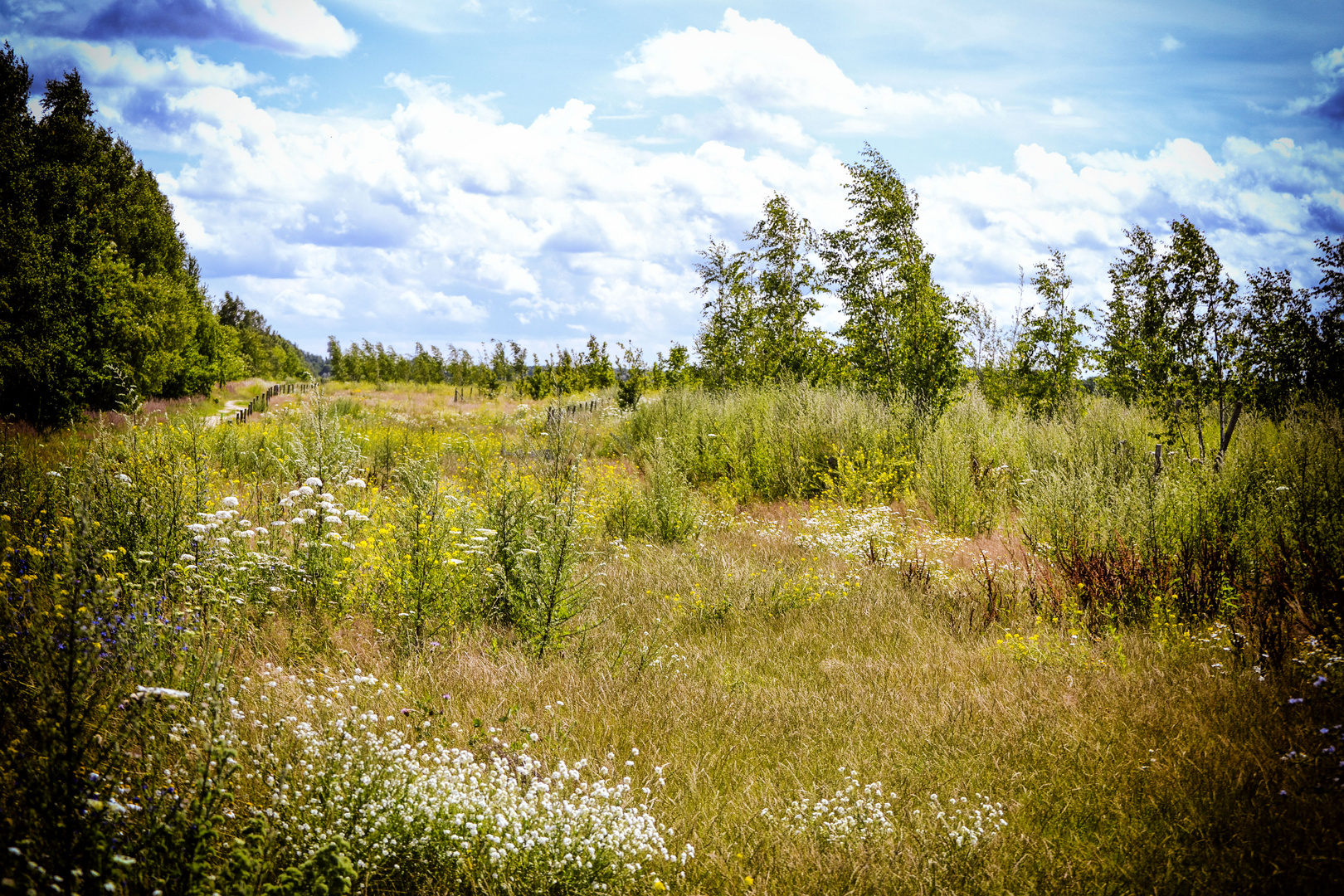 Am Stadtrand Foto & Bild | landschaft, heide, parklandschaften Bilder ...