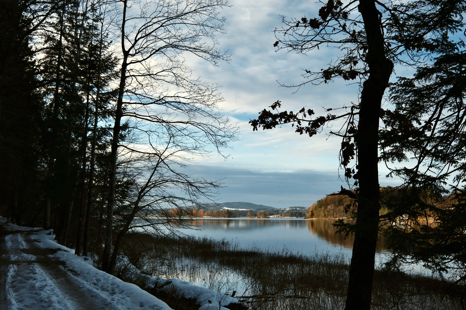 Am Staffelsee Foto & Bild | landschaft, jahreszeiten, winter Bilder auf fotocommunity