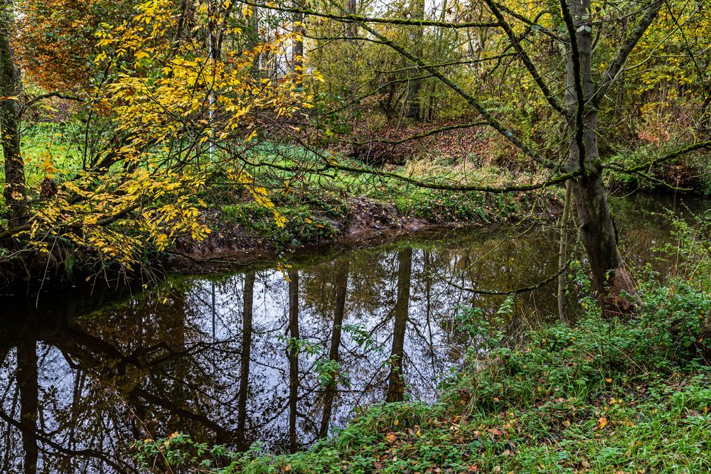 Am stillen Fluß Foto & Bild | landschaft, jahreszeiten, herbst Bilder auf fotocommunity