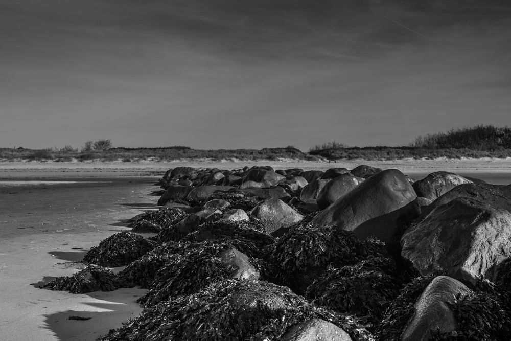 am Strand Foto & Bild | landschaft, meer & strand, sw Bilder auf ...