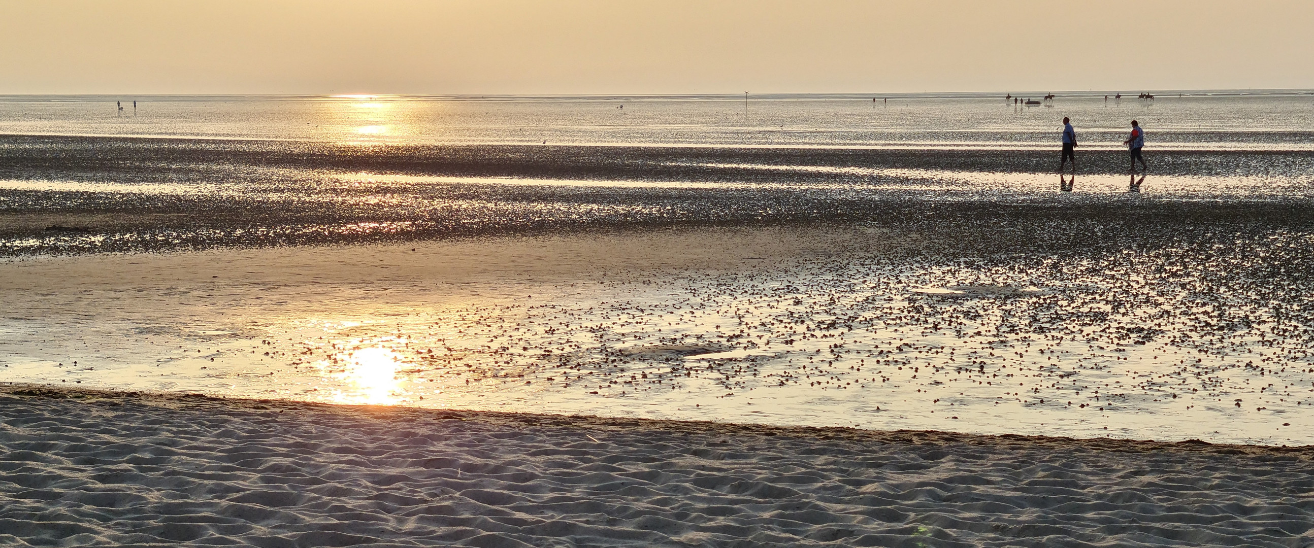Am Strand Foto & Bild | natur, see, landschaft Bilder auf fotocommunity