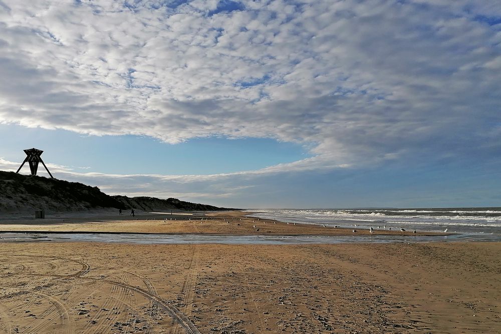 Am Strand von Blokhus Foto & Bild | world, meer, natur Bilder auf ...
