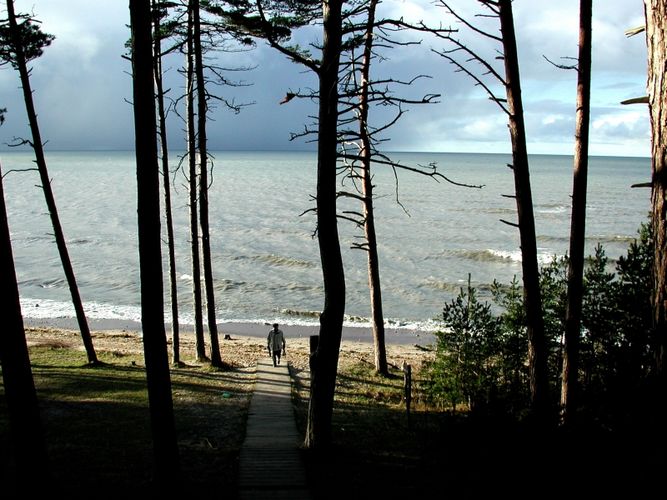 Am Strand von Giruliai Foto & Bild | europe, baltic states, litauen ...