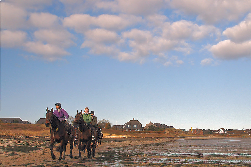 Am Strand von Munkmarsch Foto & Bild | landschaft, meer & strand, sylt ...