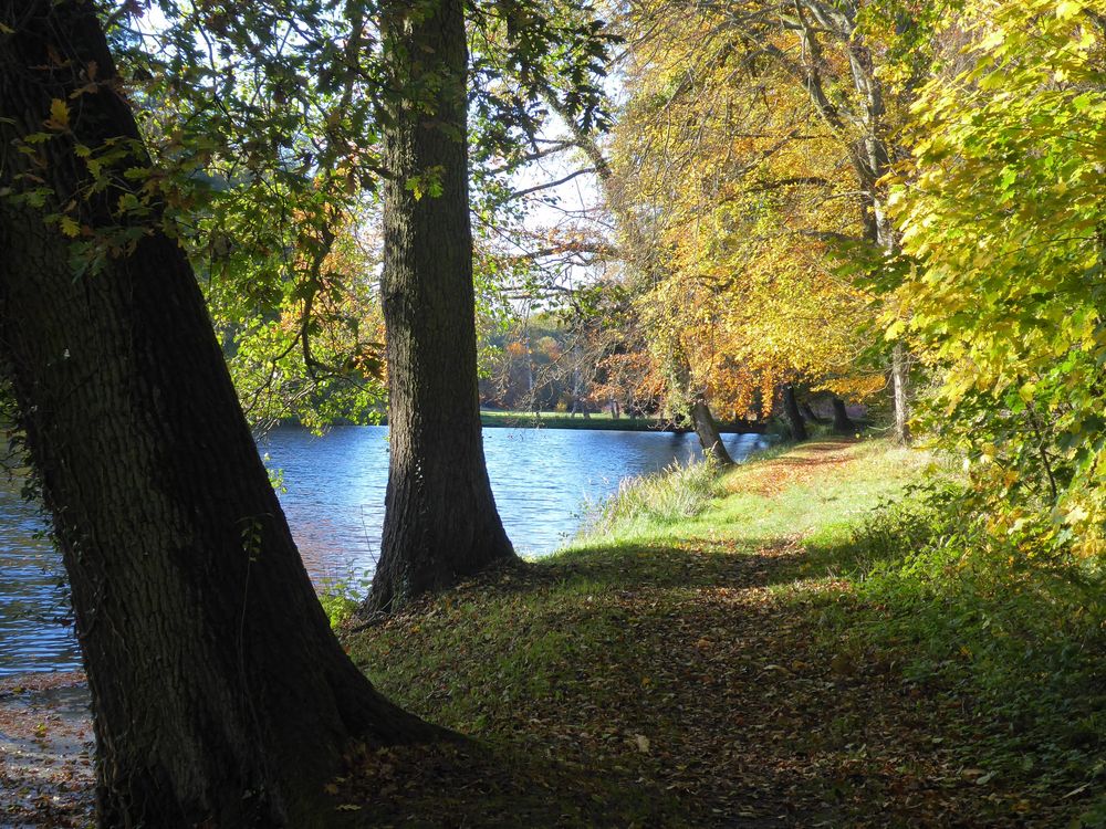Am Teich entlang Foto & Bild | landschaft, jahreszeiten, herbst Bilder auf fotocommunity