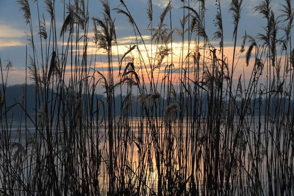 ...am Ufer... Foto & Bild | landschaft, bach, fluss & see, wasser ...