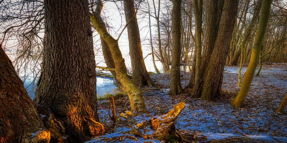 am Ufer Foto & Bild | landschaft, jahreszeiten, winter Bilder auf fotocommunity
