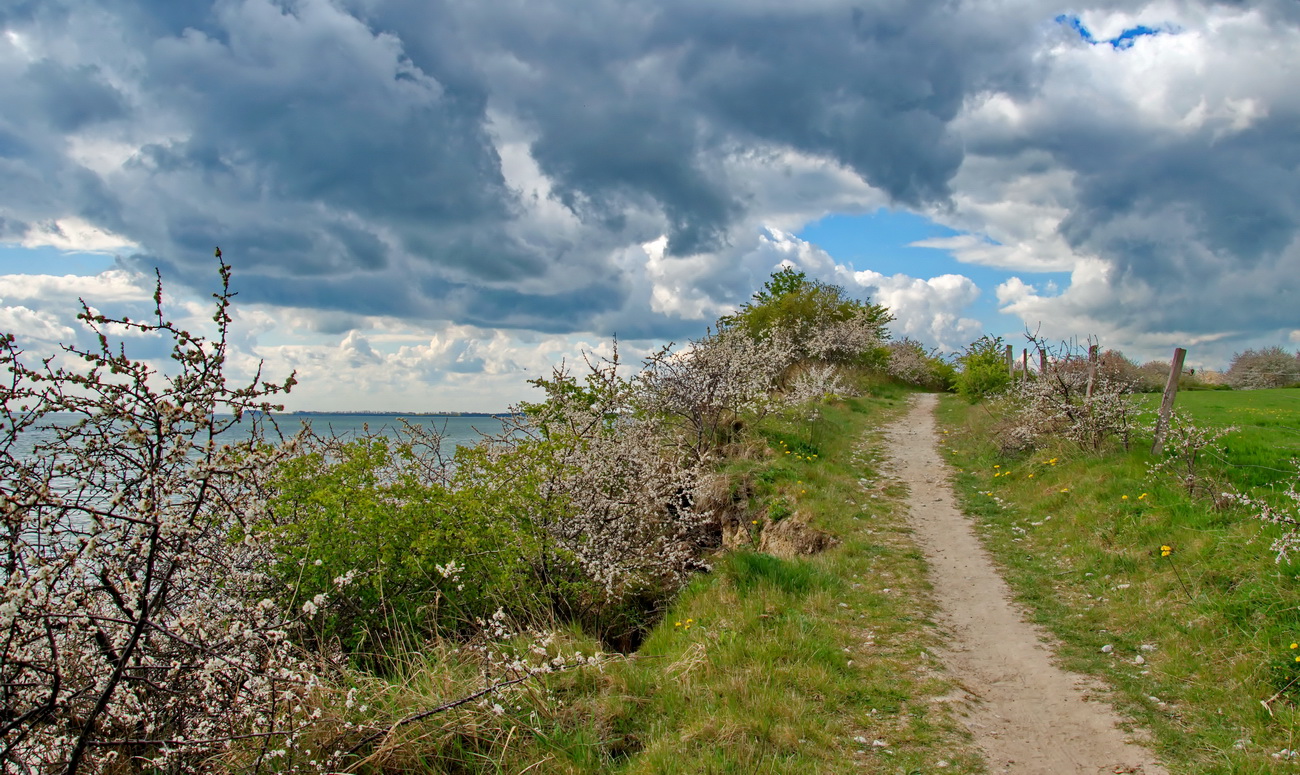 Am Ufer Foto & Bild | bäume, wolken, frühling Bilder auf fotocommunity