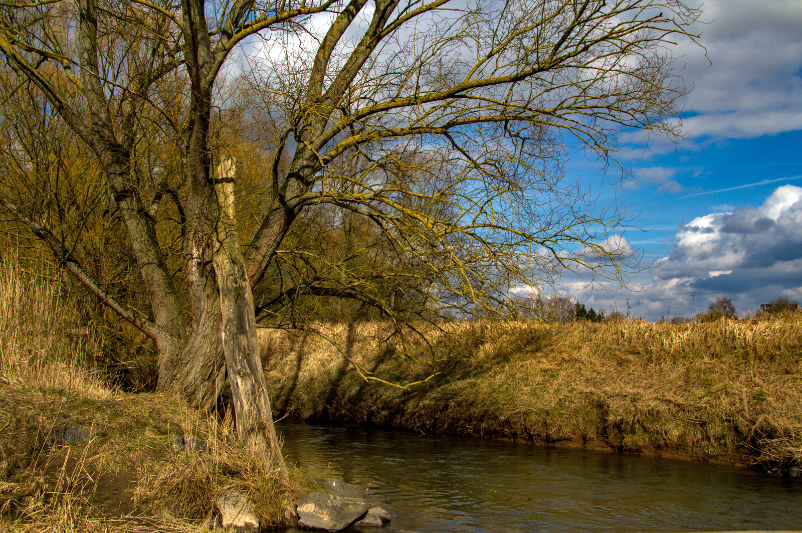 Am Ufer Foto & Bild | landschaft, bach, fluss & see, flüsse und kanäle ...