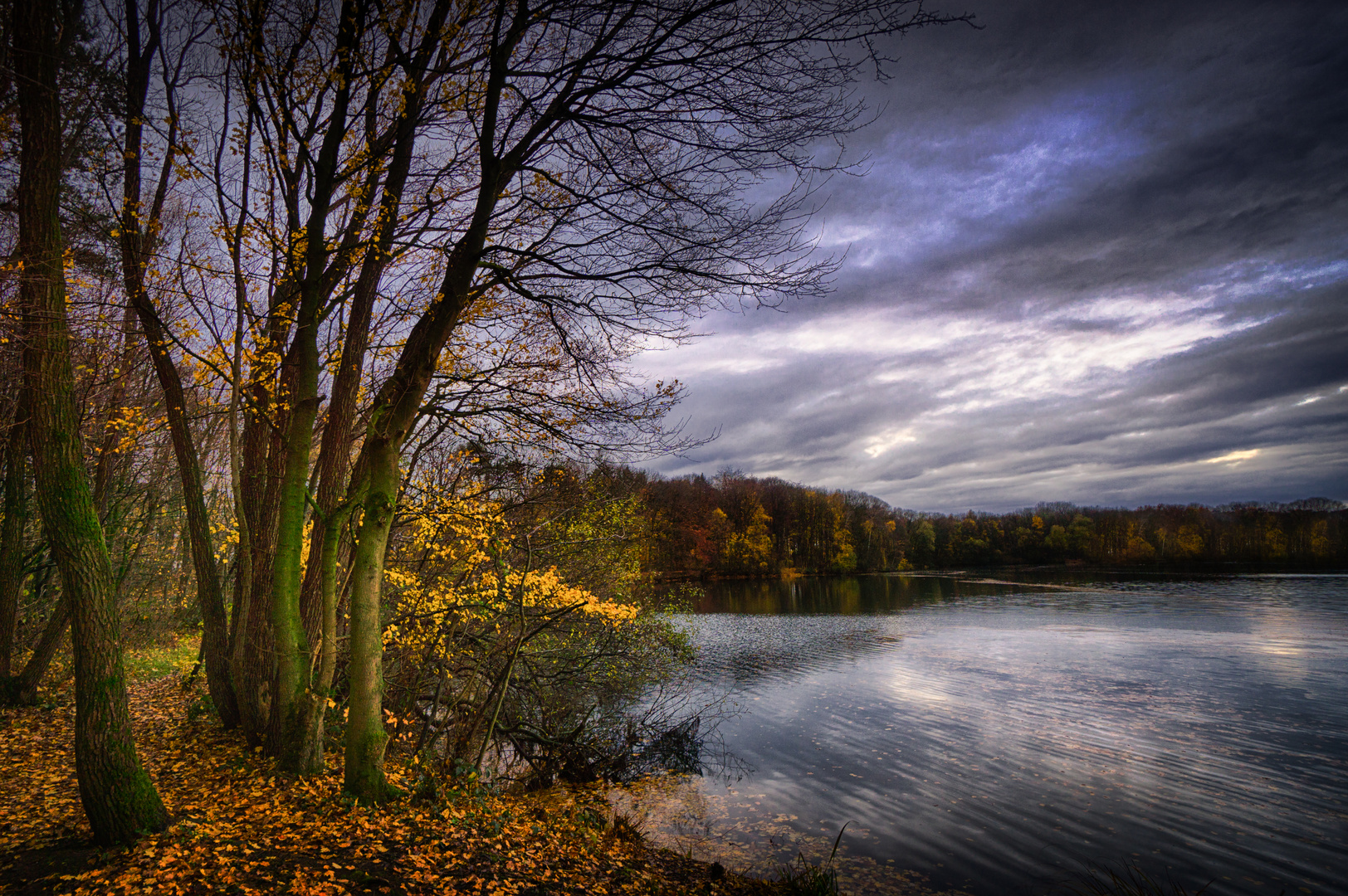 Am Ufer Foto & Bild | landschaft, bach, fluss & see, niederrhein Bilder ...