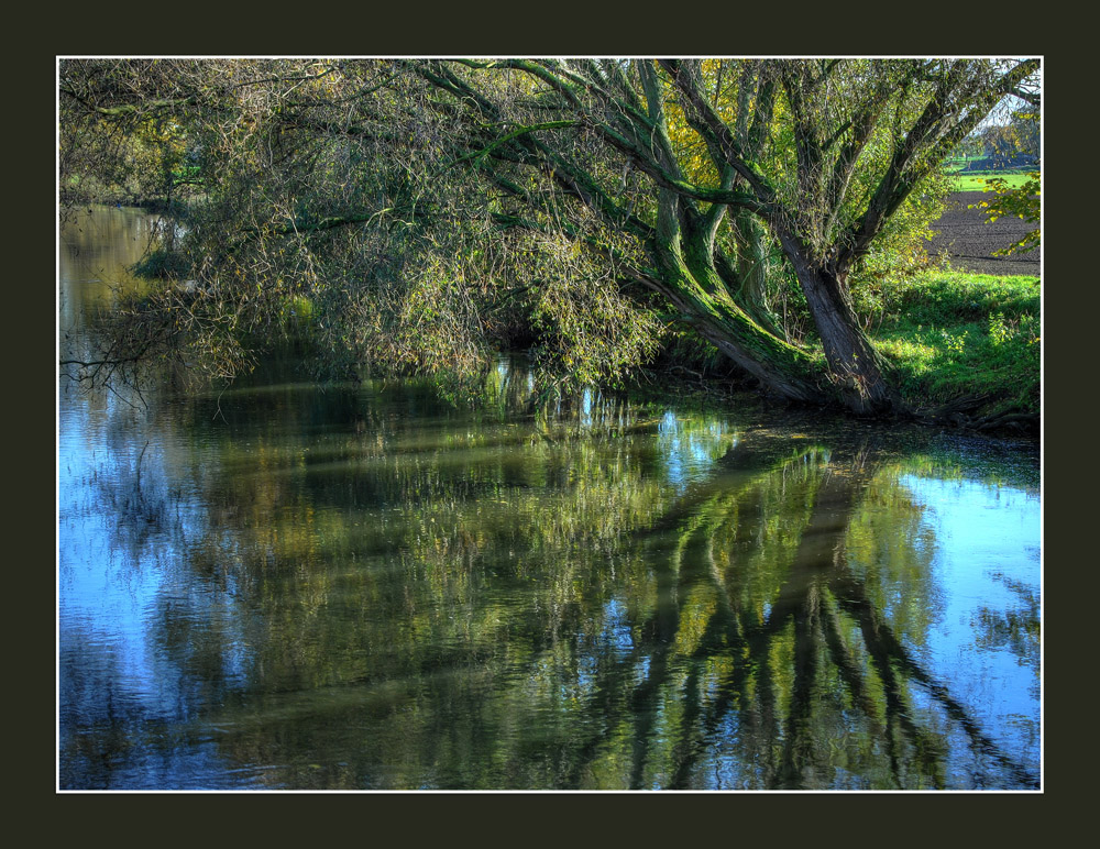 Am Ufer der Rur Foto & Bild | landschaft, bach, fluss & see, flüsse und ... Am Ufer der Rur Foto & Bild | landschaft, bach, fluss & see, flüsse und ...