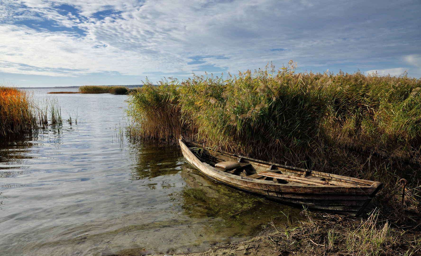 Am Ufer des Sees Foto & Bild | landschaft, bach, fluss & see, see ...