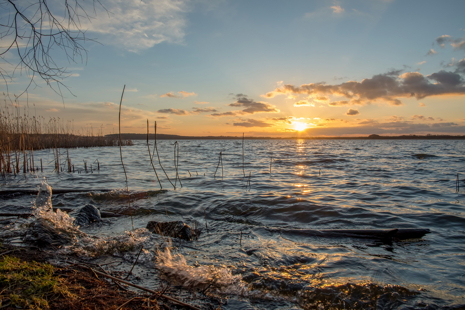 Am Ufer Foto & Bild | deutschland, europe, brandenburg Bilder auf ...