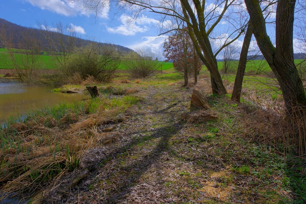 am Ufer unseres Sees Foto & Bild | landschaft, bach, fluss & see, see ...