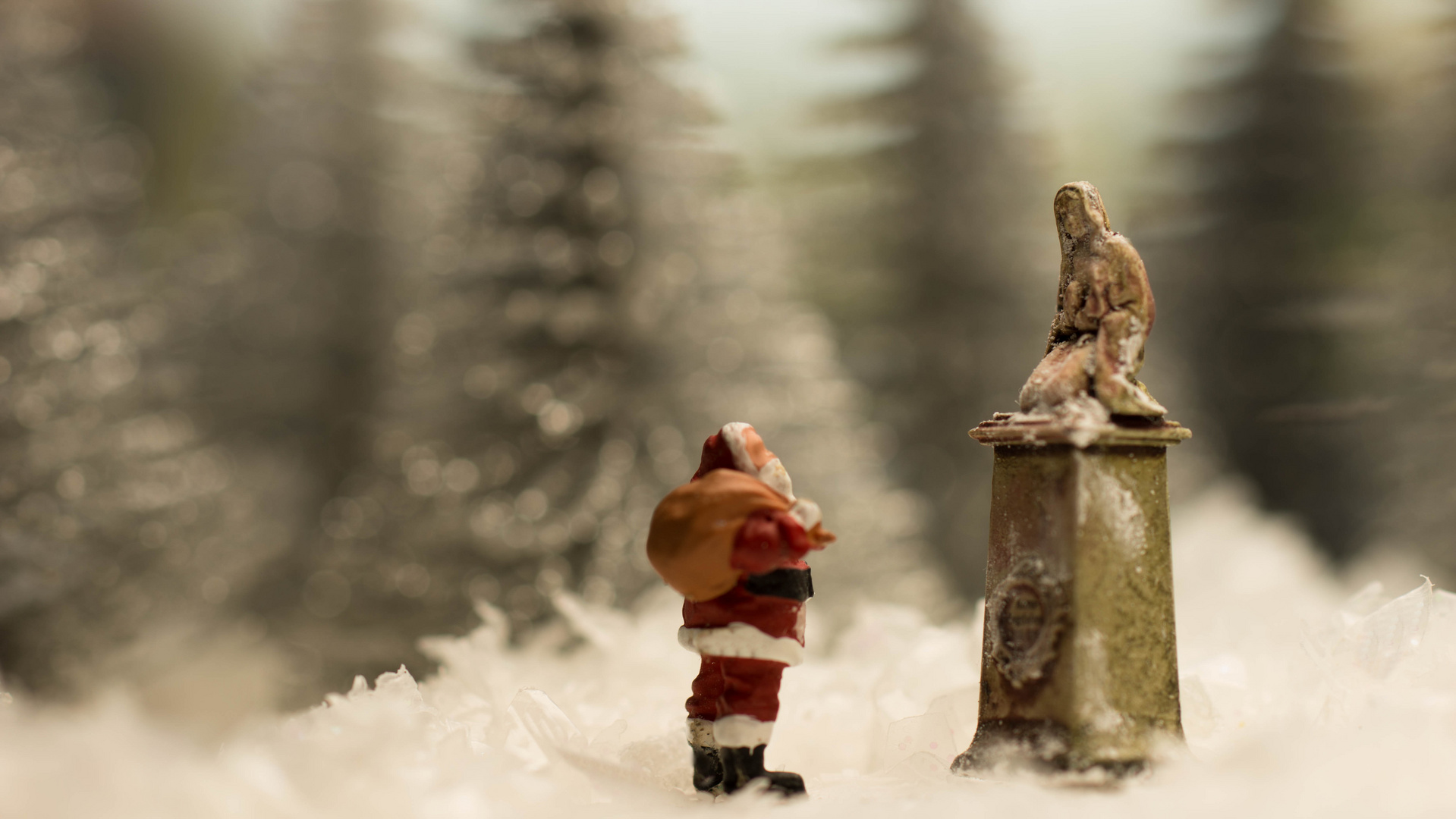 Am Waldrand Foto & Bild | stillleben, kunstfotografie & kultur, gratulation und feiertage Bilder ...