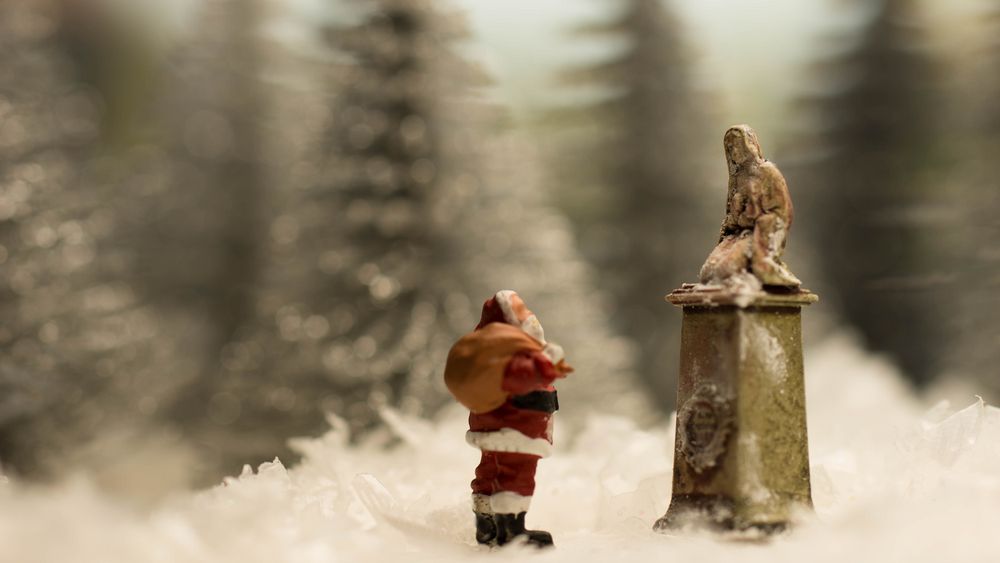 Am Waldrand Foto & Bild | stillleben, kunstfotografie & kultur, gratulation und feiertage Bilder ...