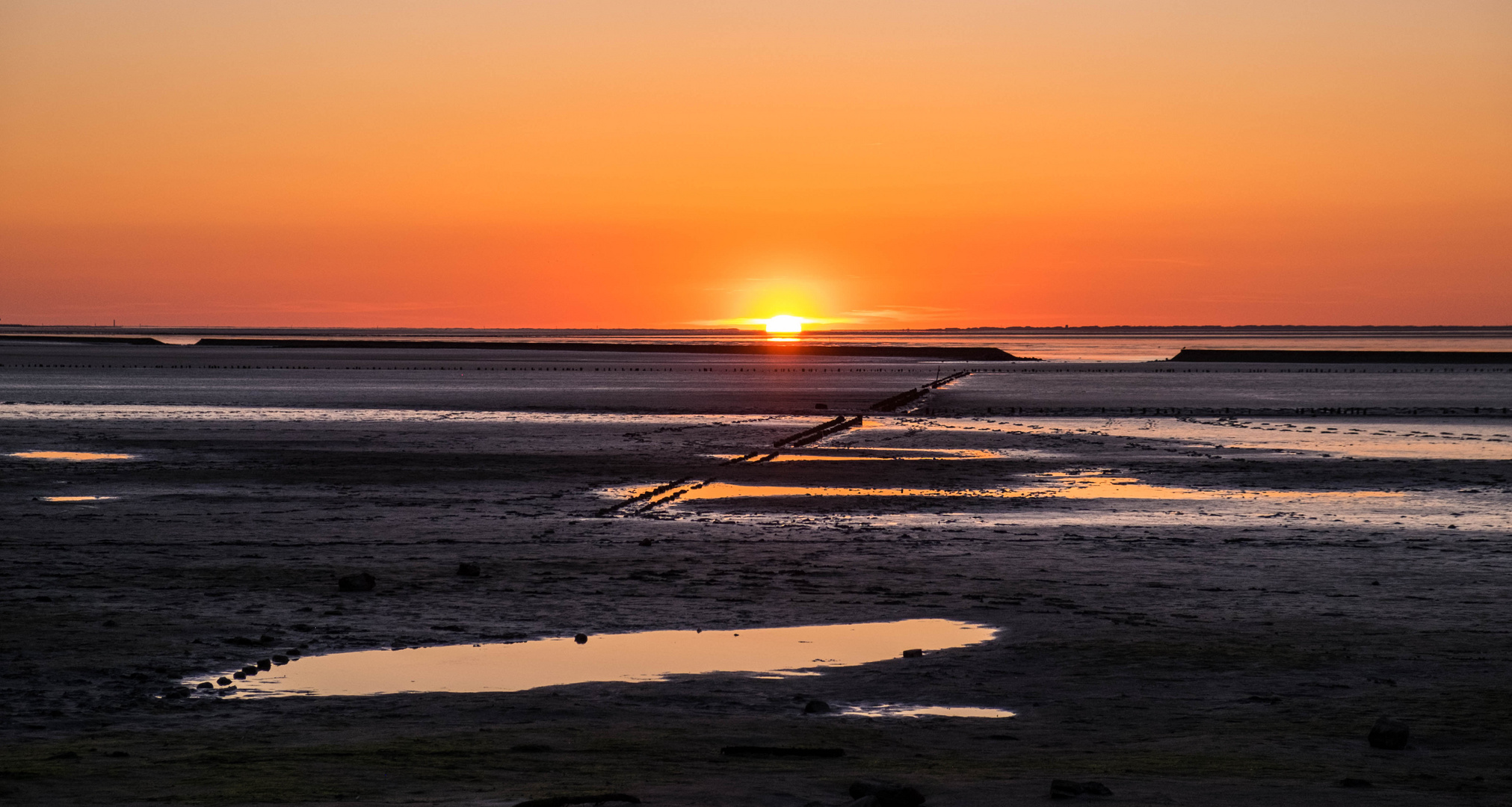 Am Wattenmeer Foto & Bild | deutschland, europe, niedersachsen Bilder ...