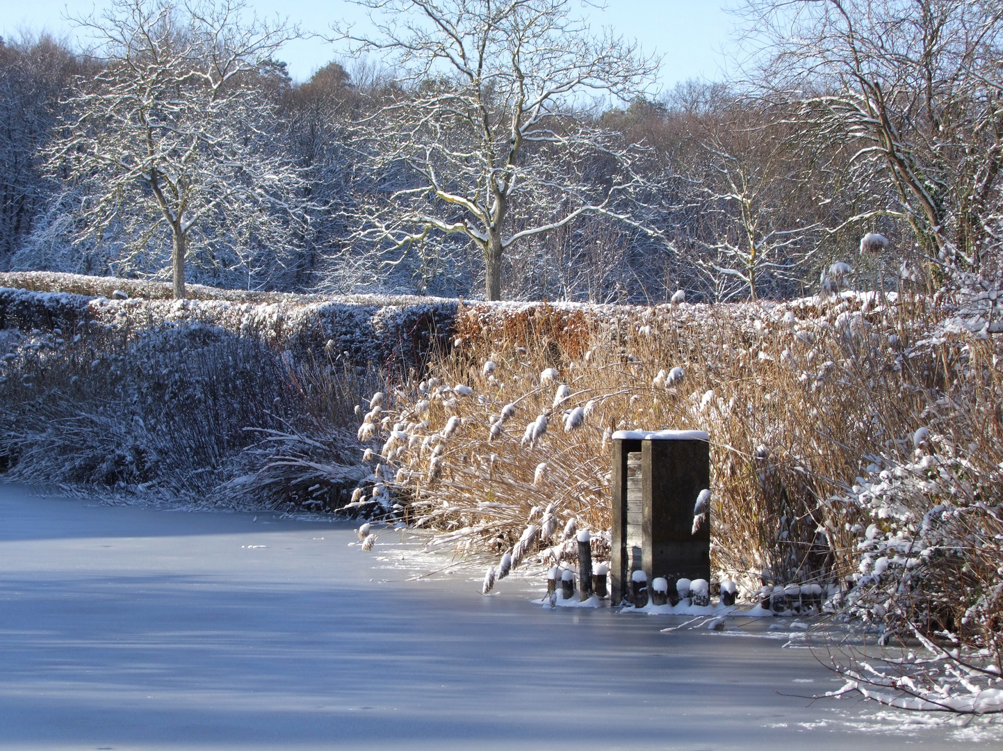 Am Weiher Foto & Bild | landschaft, bach, fluss & see, natur Bilder auf ...