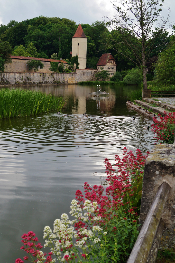 Am Weiher ... Foto & Bild | landschaft, lebensräume, bach, fluss & see ...