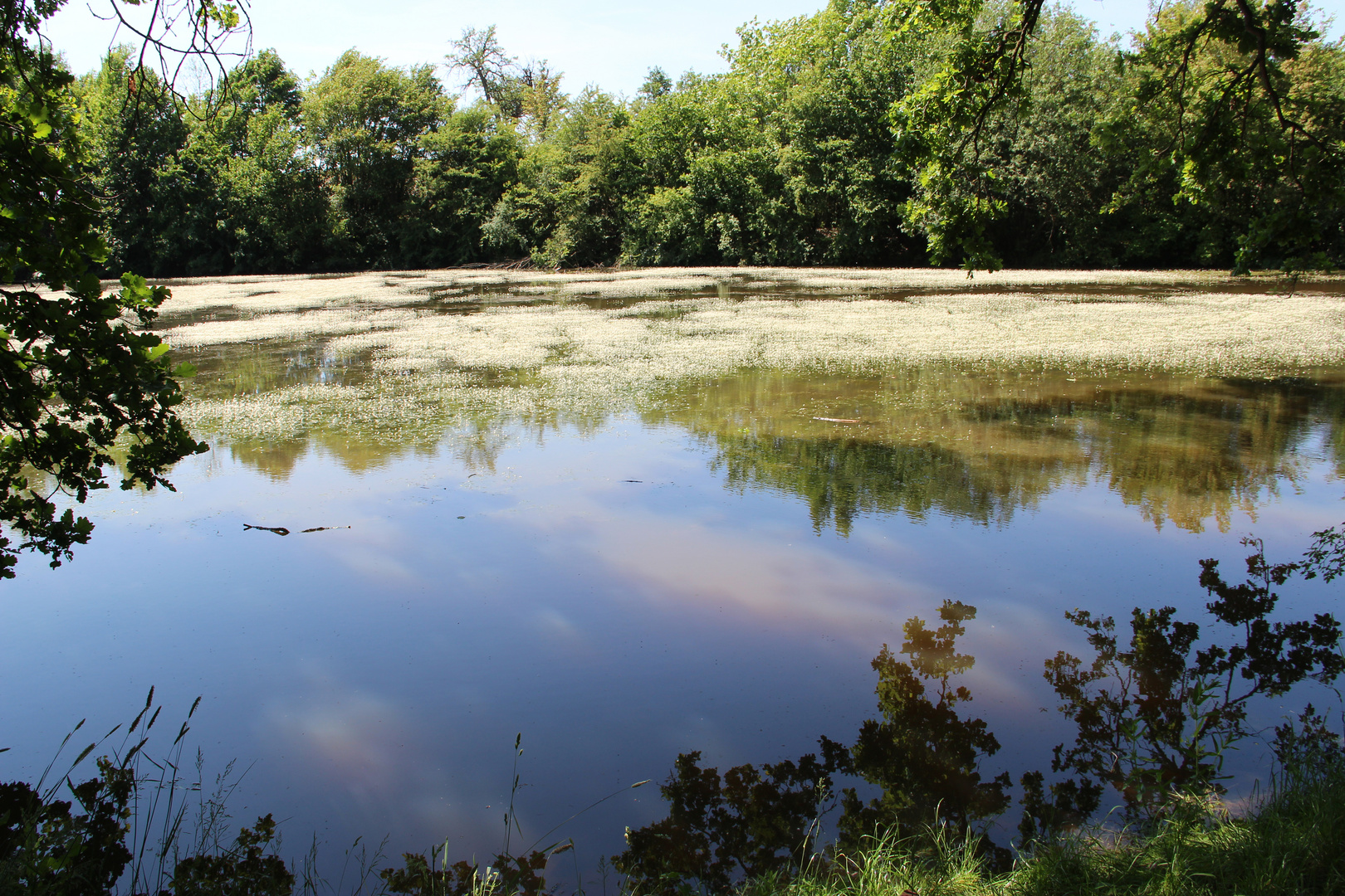 Am Weiher Foto & Bild | world, spezial, wasser Bilder auf fotocommunity