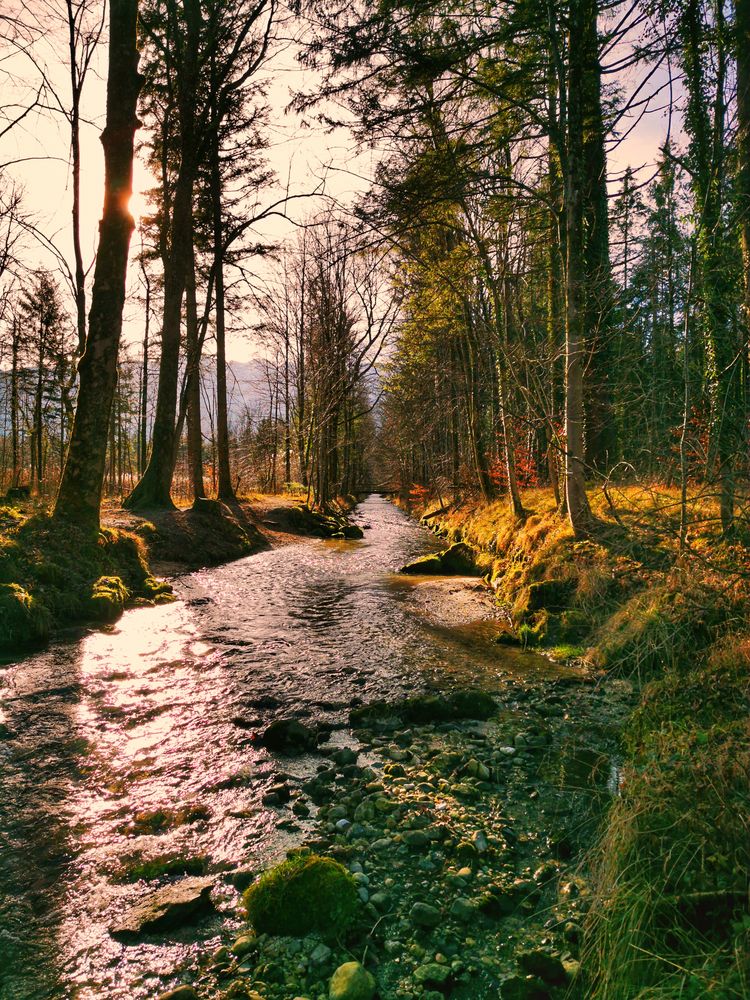 Am Weißbach Foto & Bild | landschaft, bach, fluss & see, bachläufe Bilder auf fotocommunity