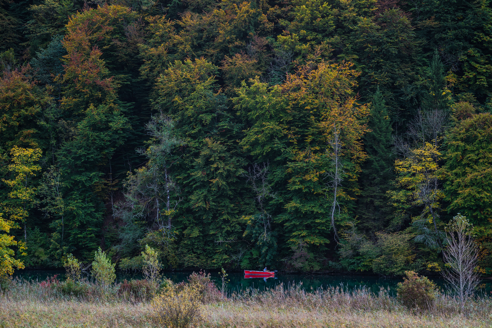 Am Wohlensee (Bern, Schweiz) Foto & Bild | wald, wasser, bäume Bilder ...