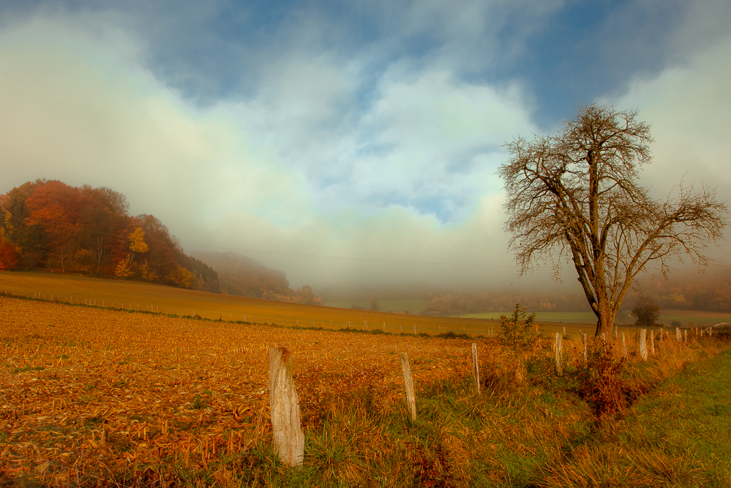 Ambiance automnale, photo et image | paysages, paysages de campagne ...
