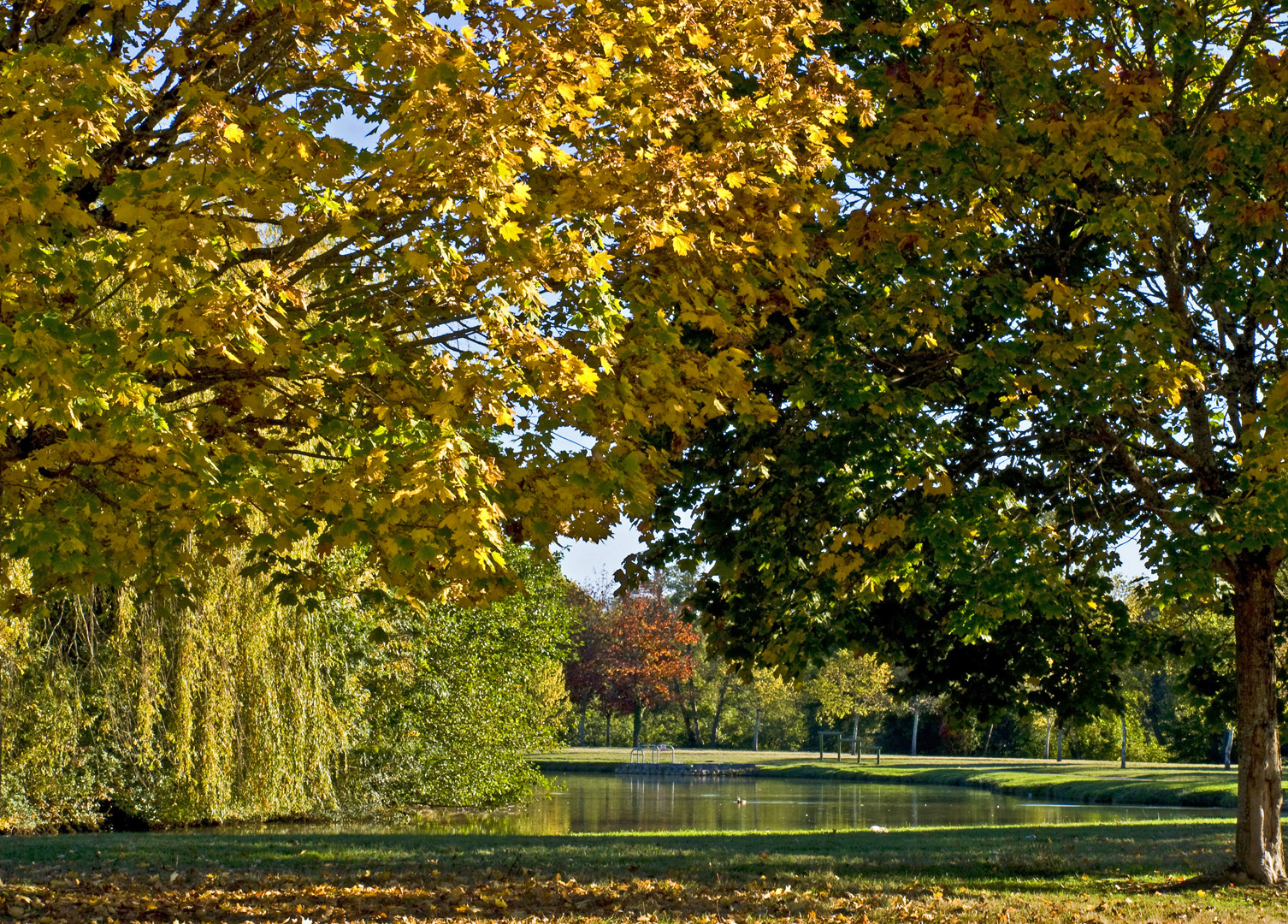Ambiance automnale au parc de Gauge à Condom photo et image | nature ...