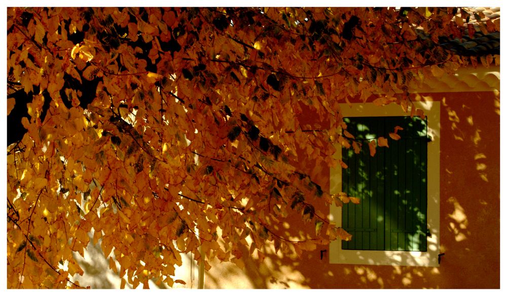 Ambiance romantique photo et image | les saisons, automne, nature ...