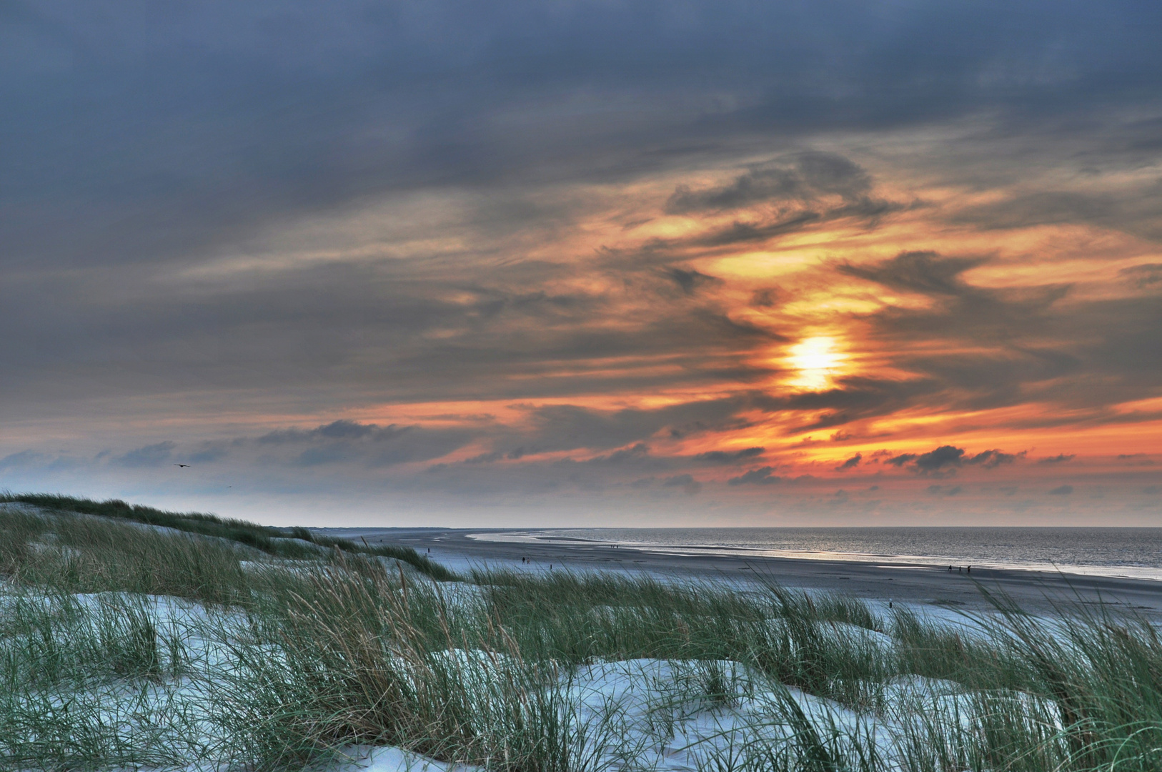 Ameland Foto & Bild | landschaft, meer & strand, dünen Bilder auf ...